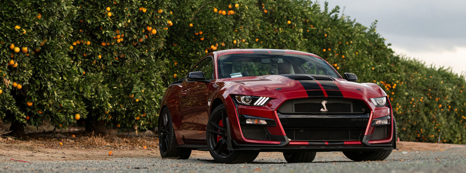 Ford-Mustang-Shelby-GT500-Website-Banner - Xtreme Xperience